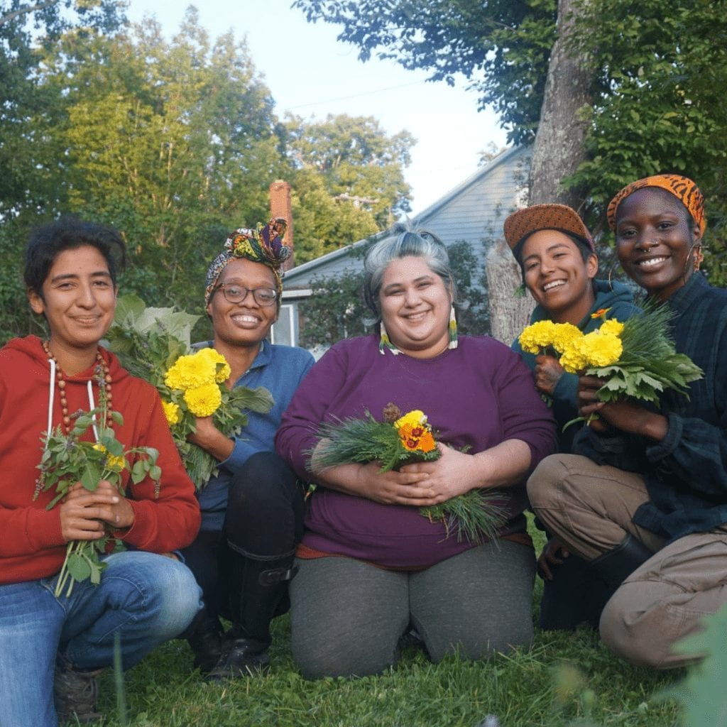 RiseBoro | Food and Nutrition - RiseBoro