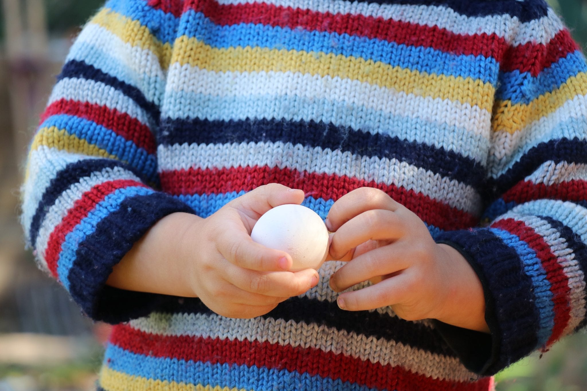 RiseBoro | Food and Nutrition - RiseBoro