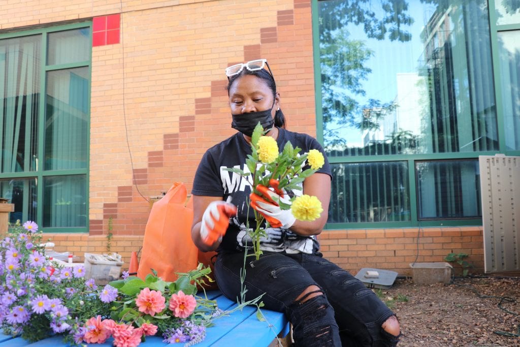 RiseBoro | Food and Nutrition - RiseBoro