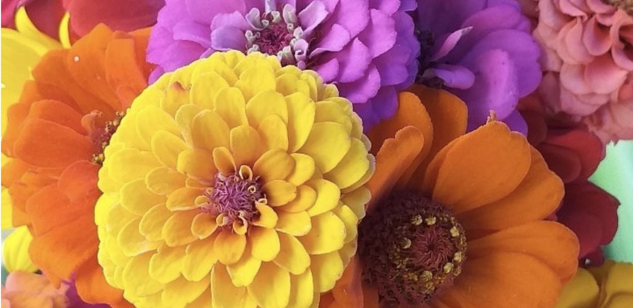 RiseBoro | Food and Nutrition - RiseBoro