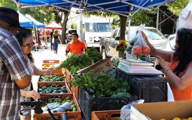 RiseBoro | Food and Nutrition - RiseBoro